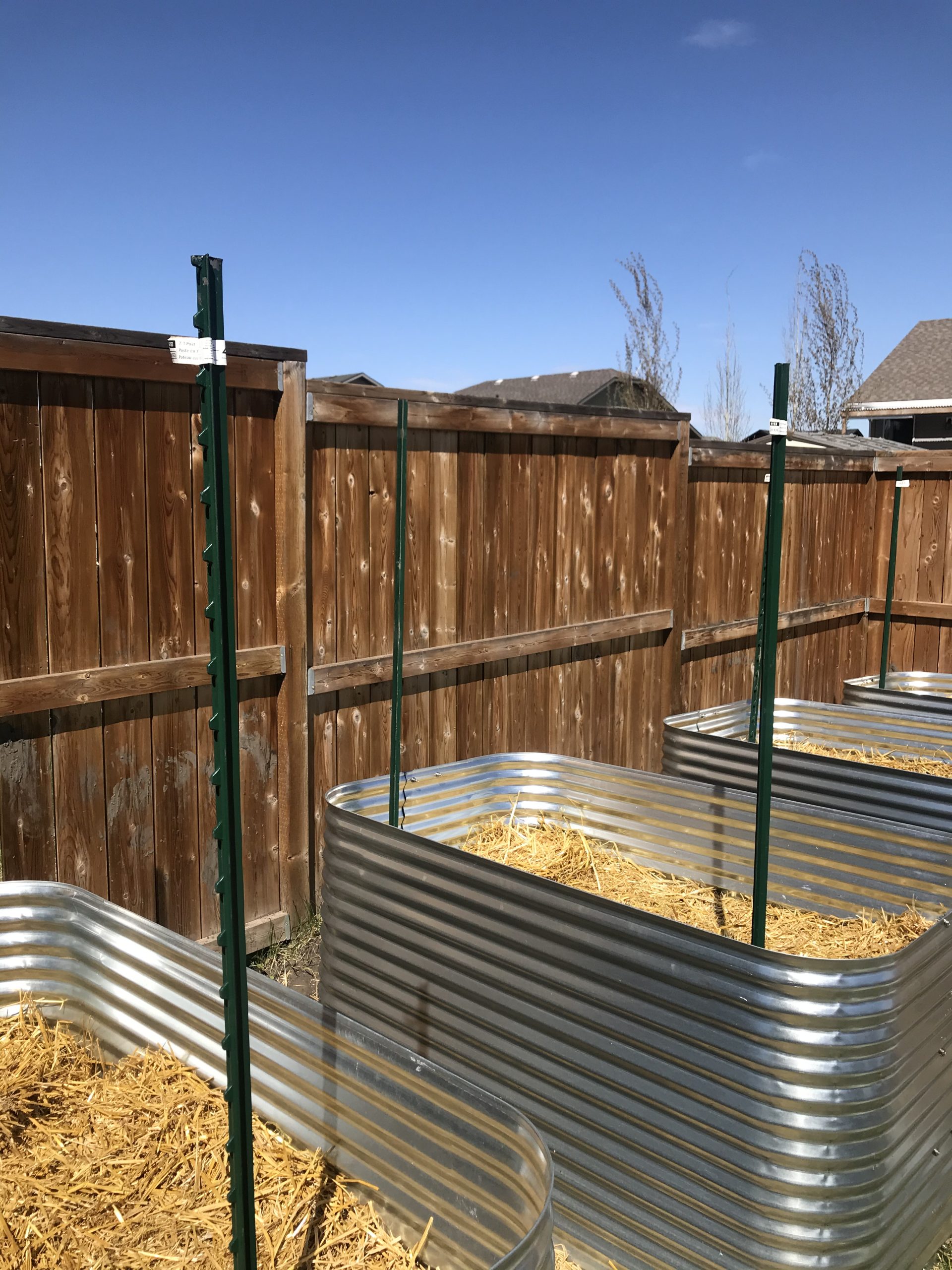 How To DIY a Trellis Garden Arch (Cattle Panel) - Dinner at the McGills’